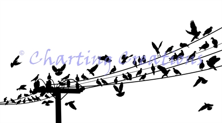 Birds On A Wire Birds On A Wire [SS0034] - $8.00 USD : Charting ...