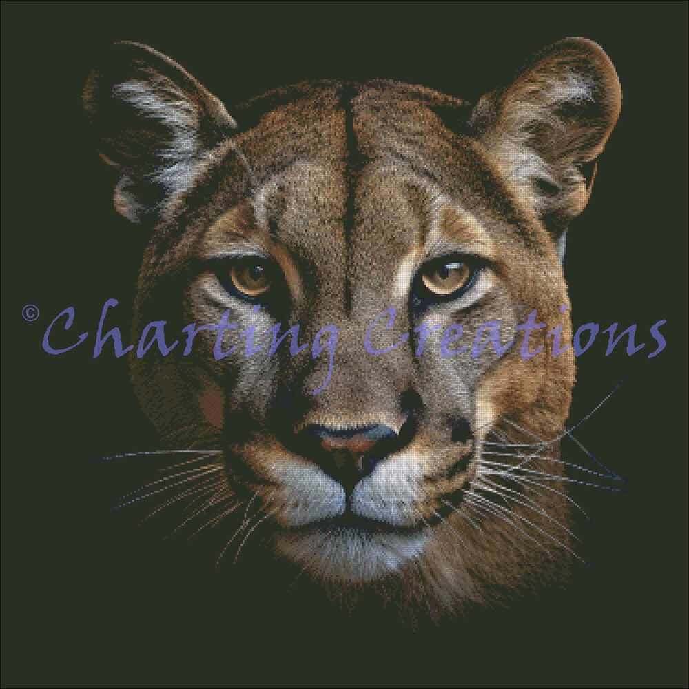 Puma Stare : Charting Creations | Unique Counted Cross Stitch Patterns ...